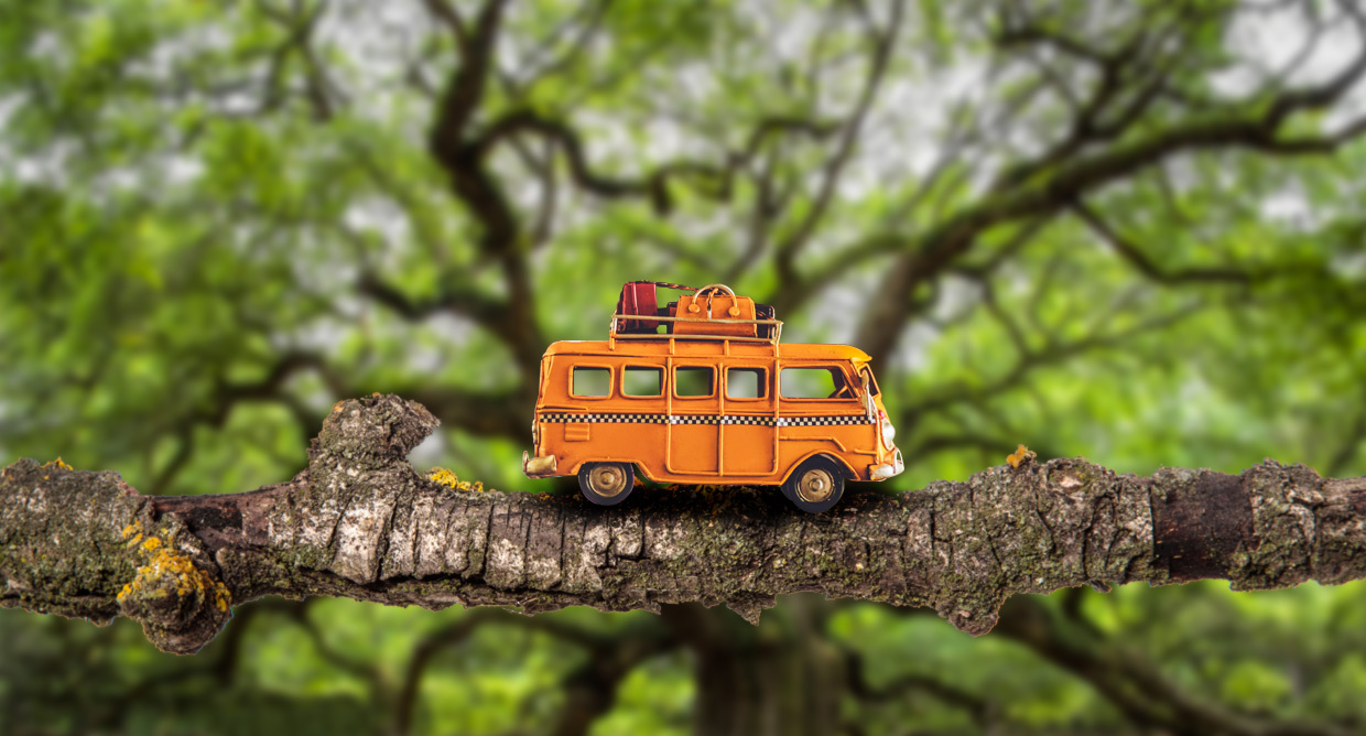 Learning Expedition Paris